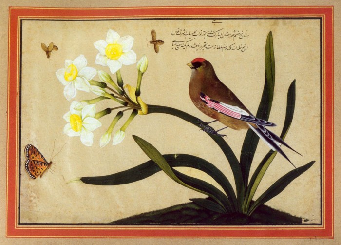 Flower & Nightingale | ShahreFarang