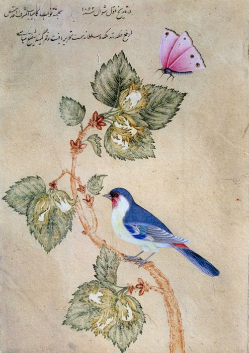 Flower & Nightingale | ShahreFarang